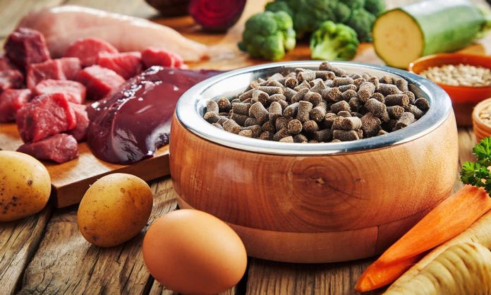 Las 16 mejores marcas de piensos para perros - AnimalesPorDescubrir.com