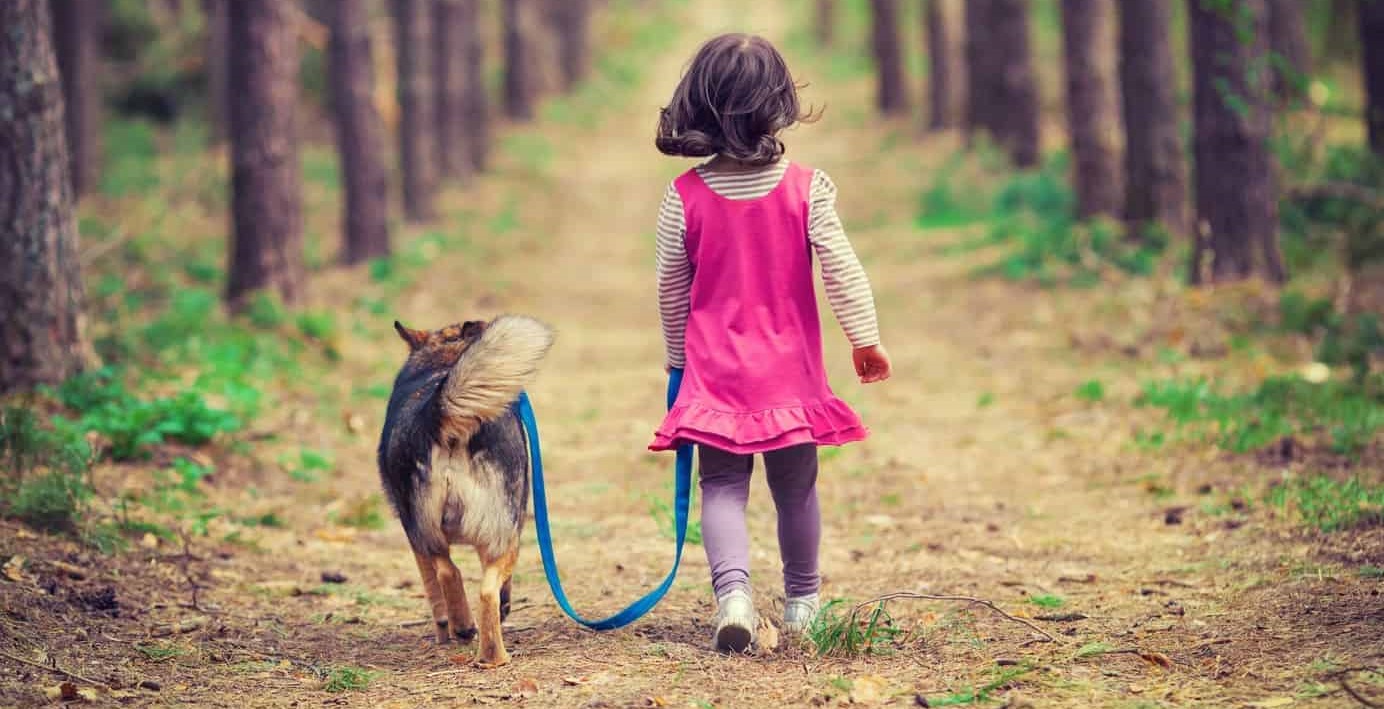 Los 16 mejores perros para niños - AnimalesPorDescubrir.com